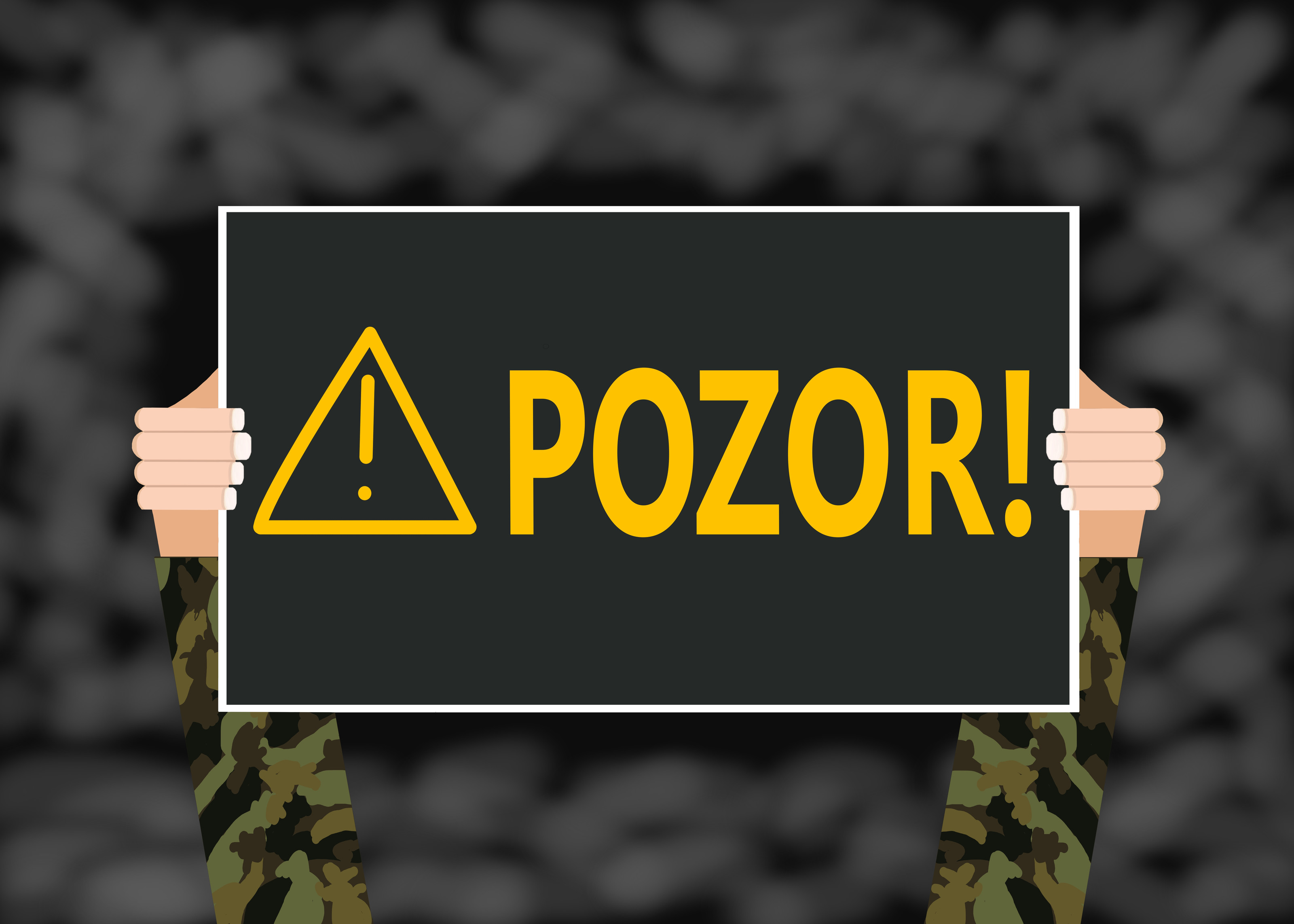 Podstatně ubylo papírování při náboru profesionálních vojáků | Do armády