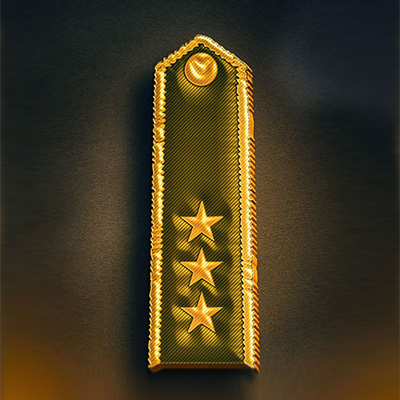 Vojenské hodnosti Armády České republiky | Do armády